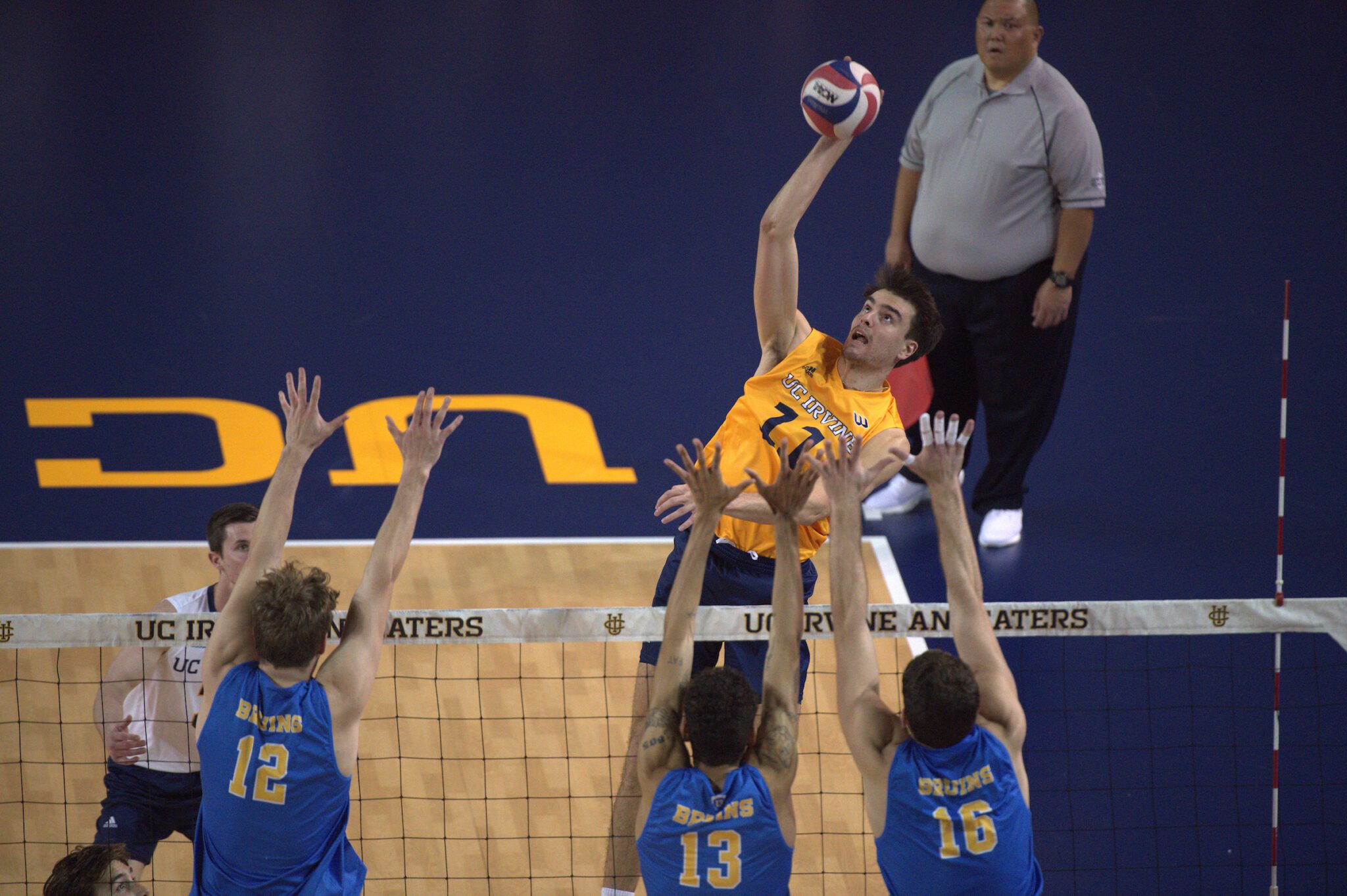 FRANCESCO SANI, - USA Volleyball